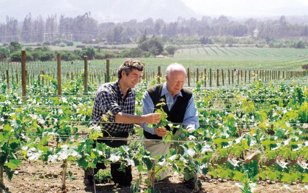 Caliterra - ENOTECA WINE